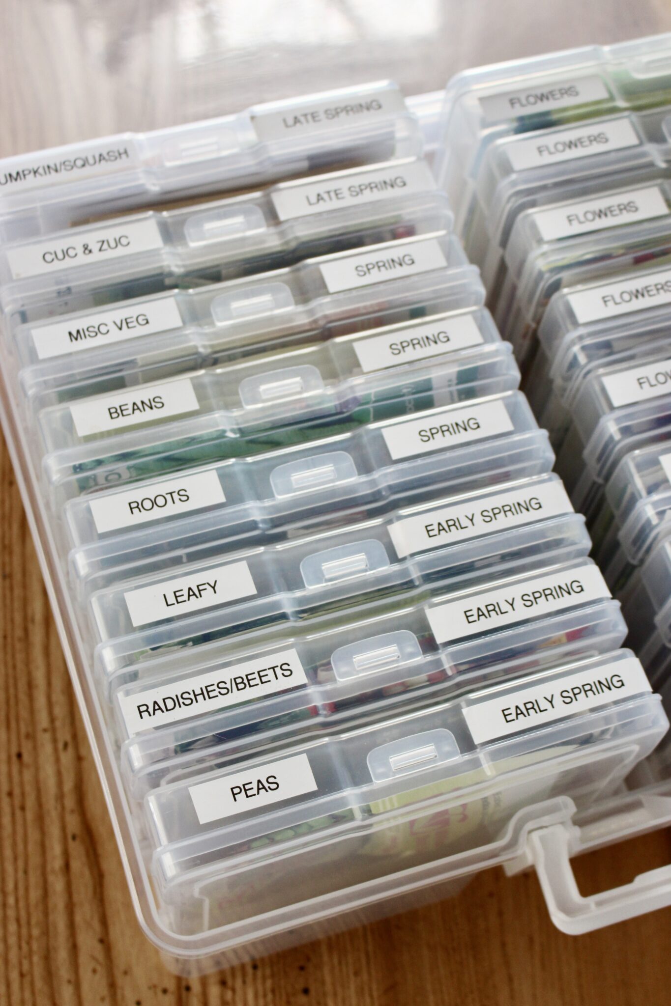 The Best Way to Store & Organize Garden Seeds - Life at Cloverhill